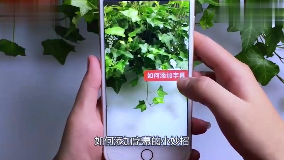 拍完视频如何加字幕?手机老板教我一招,打开隐藏功能,一看就会