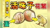 大家一起尝尝受精鸡蛋!山下居然是这种反应!