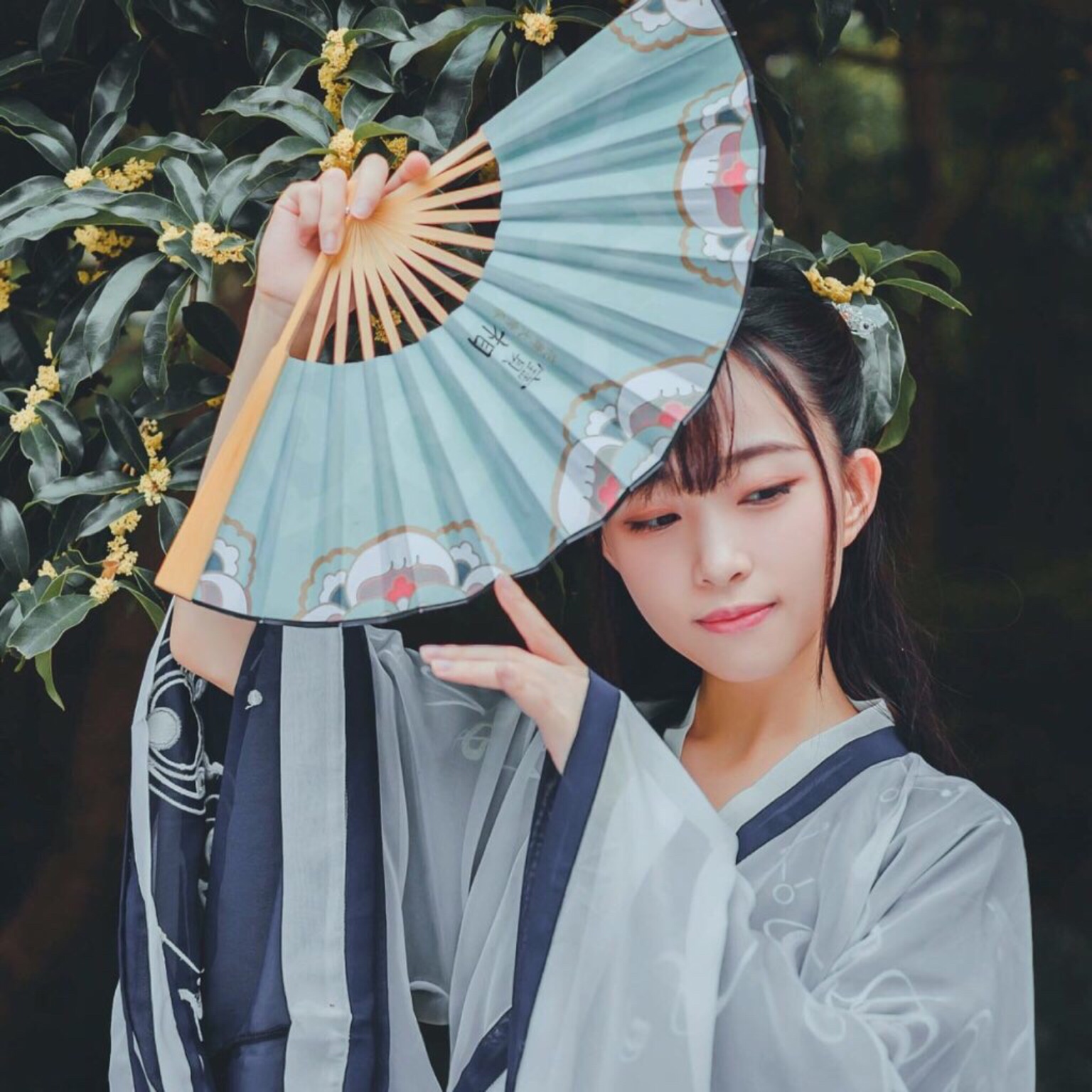 小豆蔻儿 