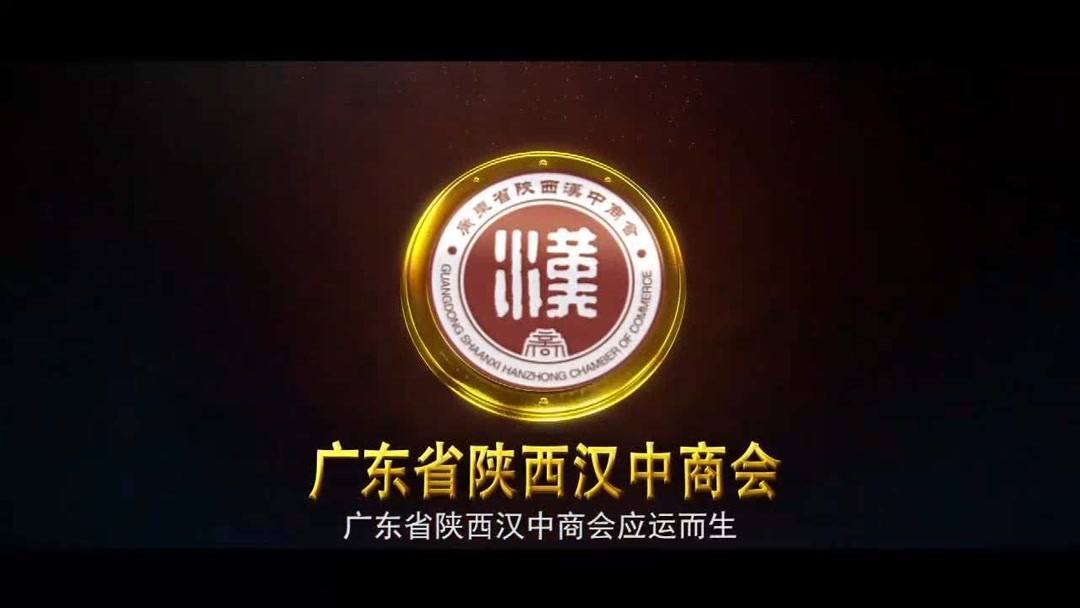 广东省陕西汉中商会宣传片