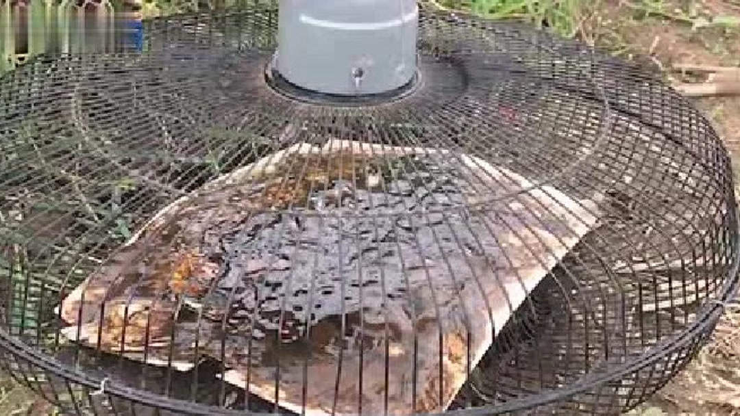 农村小伙自制简便捕鼠器,结果收获满满惊喜,老鼠:我真的枯了