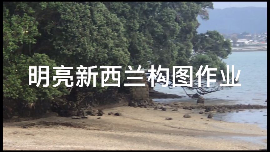 一只视频告诉你什么是视频构图