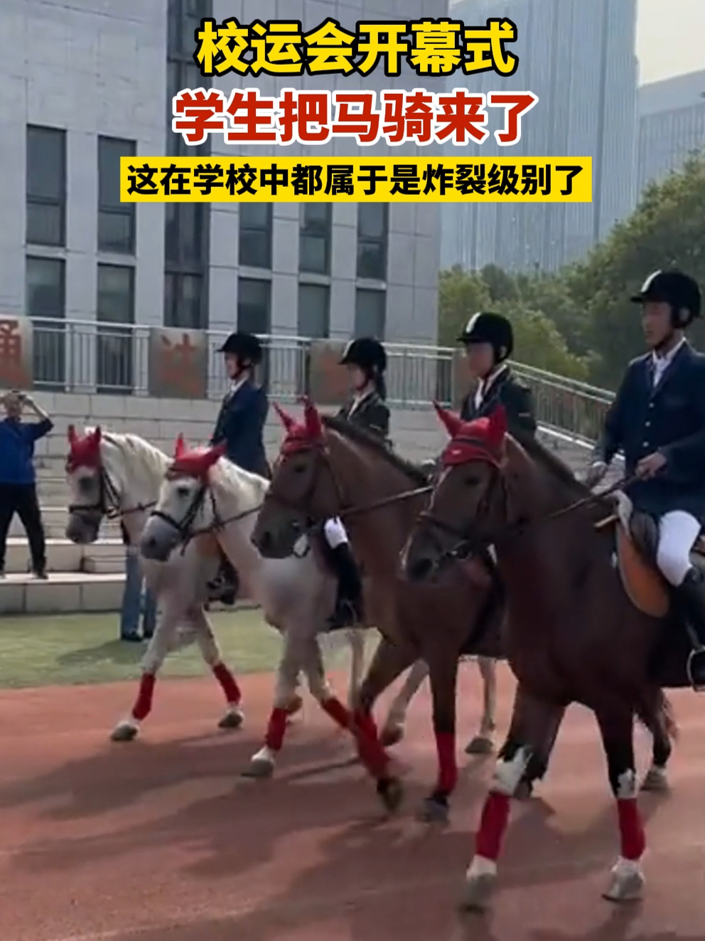 校运会开幕式,学生把马骑来了,这在学校中都属于是炸裂级别了