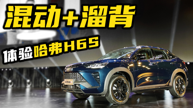 哈弗H6S提供混动版,溜背造型后排竟然不顶头