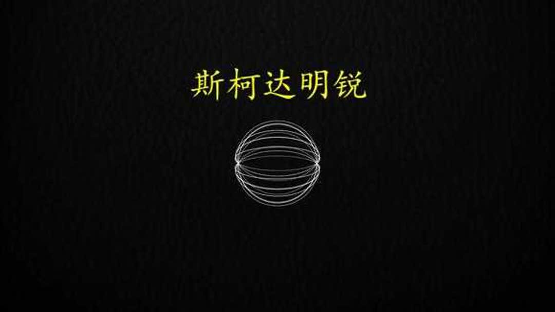 2019年斯柯达明锐欧洲NCAP碰撞和安全测试