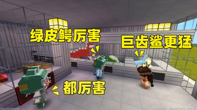 迷你世界:有绿皮鳄跟巨齿鲨,薯片妮妮因此争吵不休