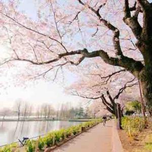 晓晓的垂钓生活 