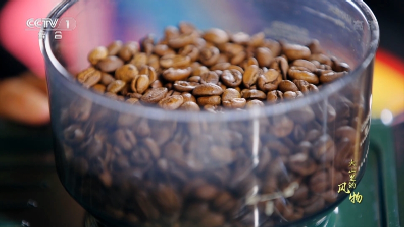 [中华民族]普洱小粒咖啡成为小镇的一张名片