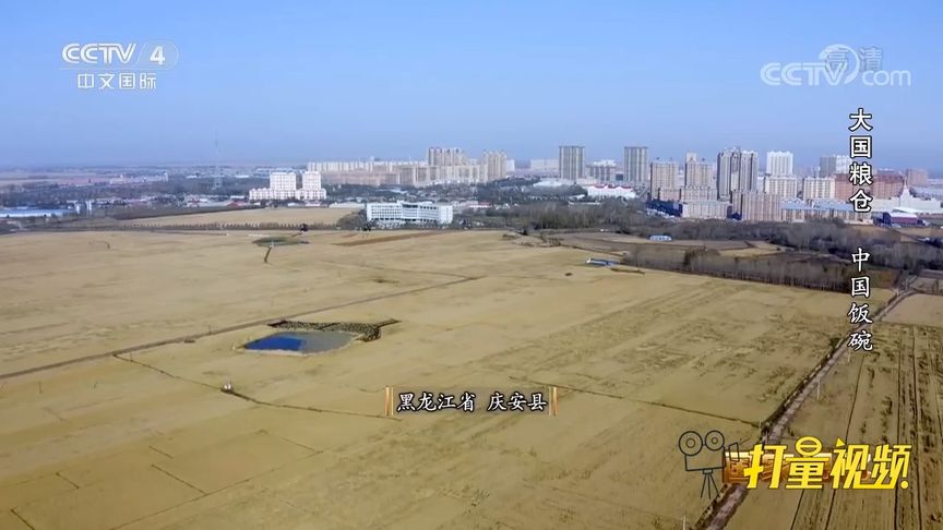 1993年我国取消了粮票制度,中国人从吃不饱变成吃得好|国家记忆