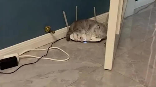 路由器本来就插在猫上面啊,没毛病