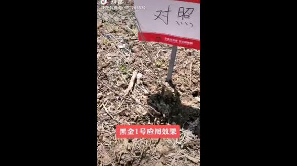 北京市新时代文明实践基层科普行动项目资助