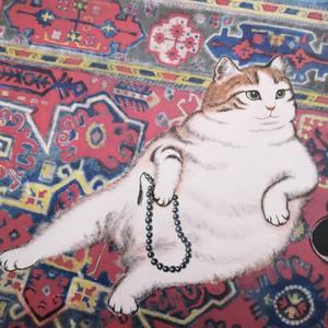 小板带你看世界 