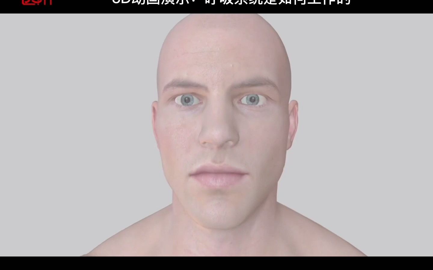 呼吸系统是如何工作的