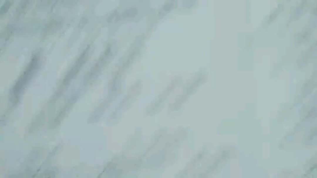优化设计语文答案