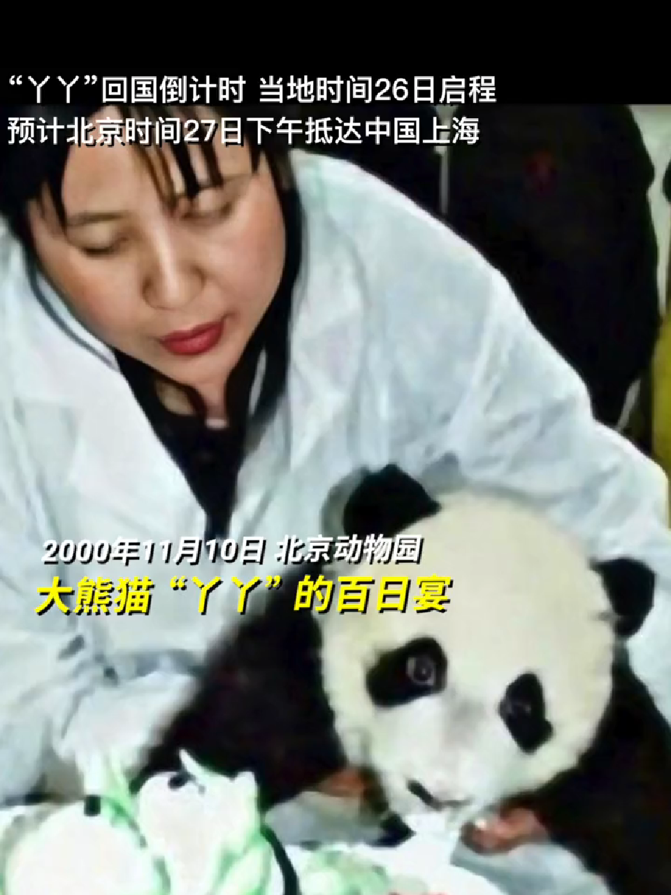 丫丫回国倒计时!预计北京时间27日下午抵达上海!