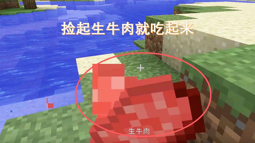 我的世界04:这几天可把小宇饿坏了,捡起地上的生牛肉就吃起来