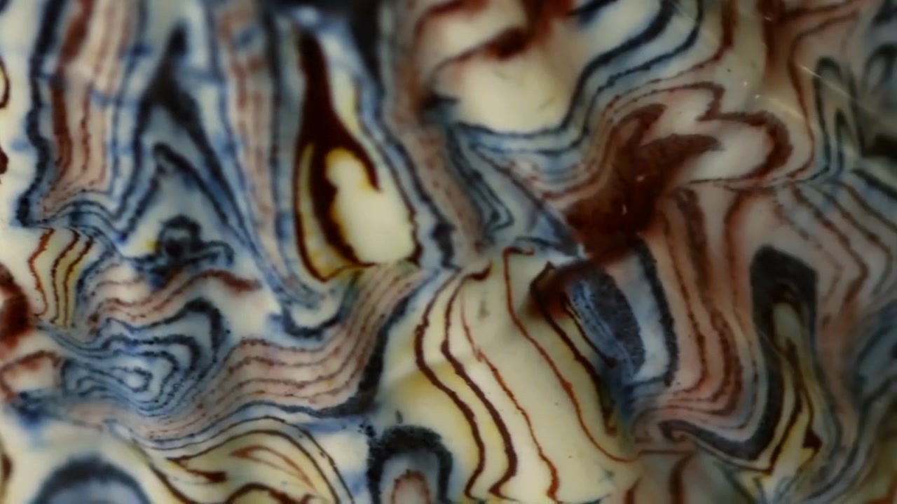 绞胎瓷之美,充满造化无然之光辉