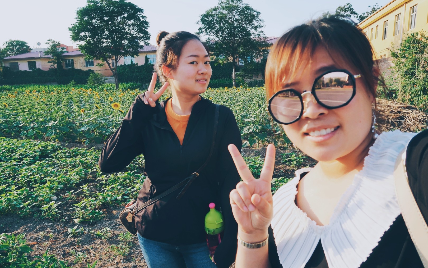 Vlog3_杂乱无章的一周&和米会计的最后一周