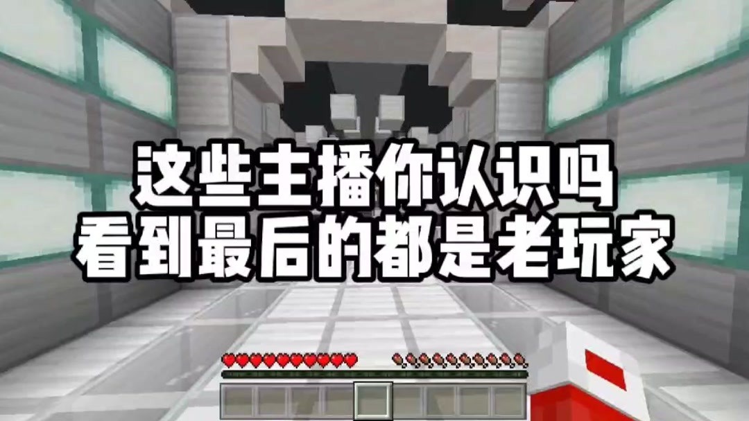 我的世界:这些主播你都认识吗