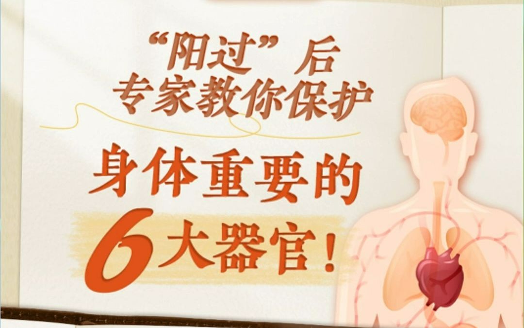 图说|心、肝、肺…“阳过”后,专家教你保护身体这6大重要器官!