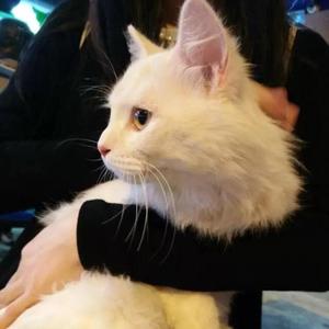 爱看世界的小喵 