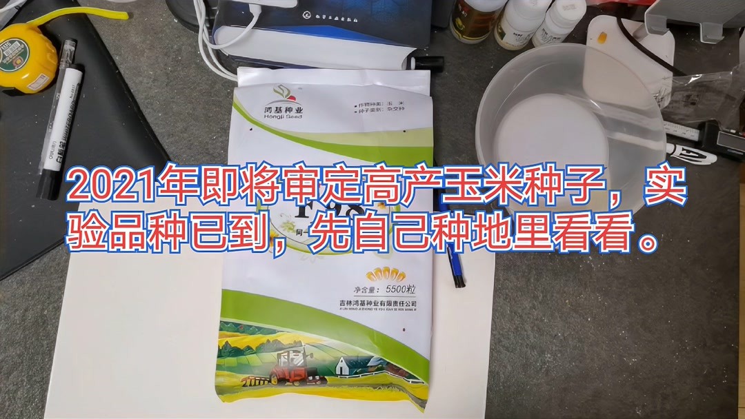 2021年即将审定高产玉米种子,实验品种已到,先自己种地里看看。