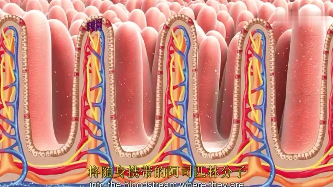 3D演示阿司匹林作用机理,原来我们日常的药品在我们体内到处穿梭
