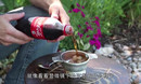 老外把可乐放在显微镜下,放大200倍后,看完再也不敢喝了!_生活百科...