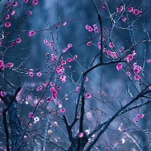 芬芳溢我画梦幽 