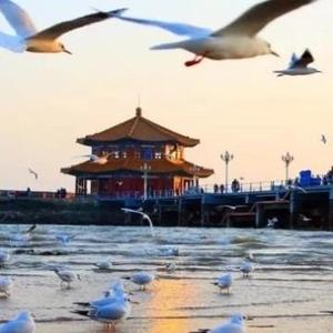 生活需要仪式感呀 