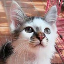 超爱喝纯净水の太公忆安 