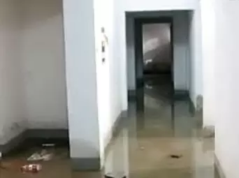 地下储藏室 水深隐患大