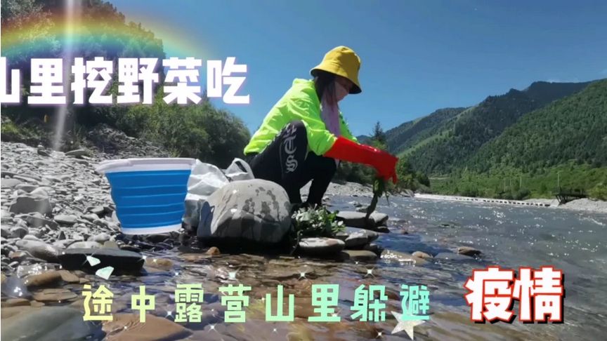 淄博人在甘南卓尼高原挖野菜饮山泉水,与藏民一起体验不同的生活
