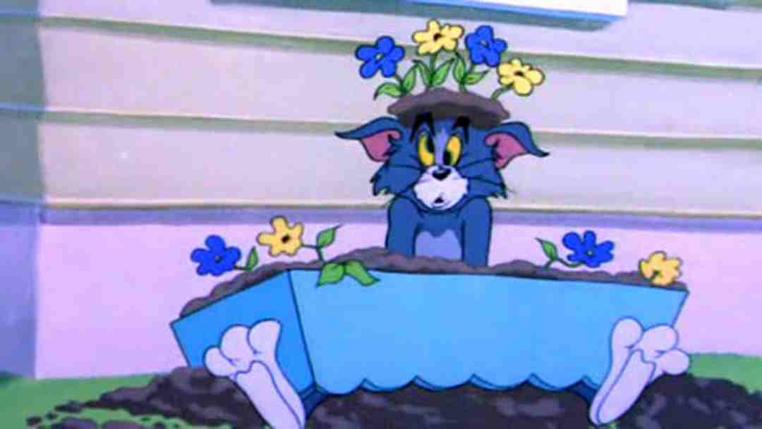 猫和老鼠全集第35集