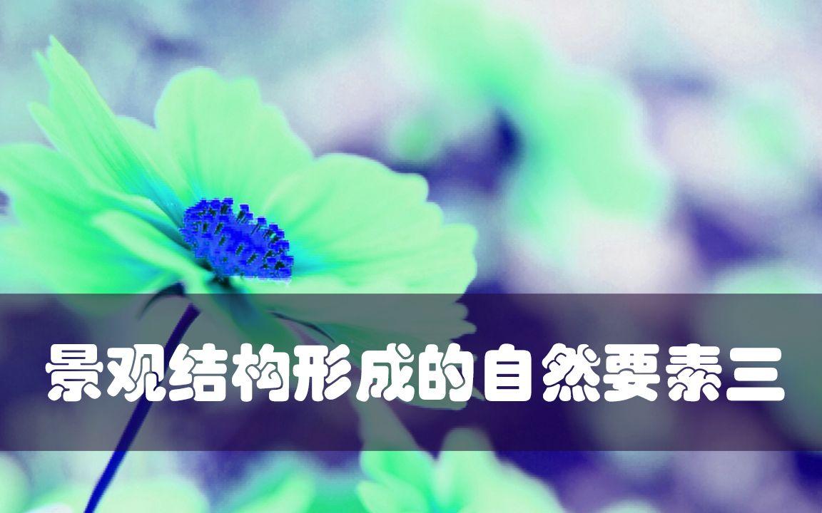 景观结构形成的自然要素三