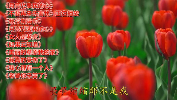 《月亮代表我的心》《不要再来伤害我》《我没有骗你》