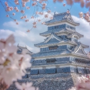 新时代的中国青年00 