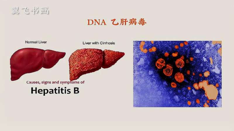 「新型冠状病毒」致命入侵!全新视角讲解病毒大战!硬核手绘科普