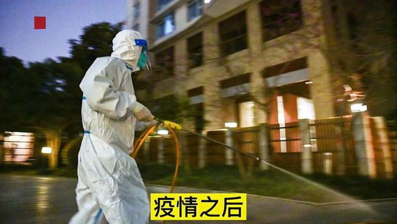 视频|“若有战 我必回”玉兰树下的抗疫志愿者