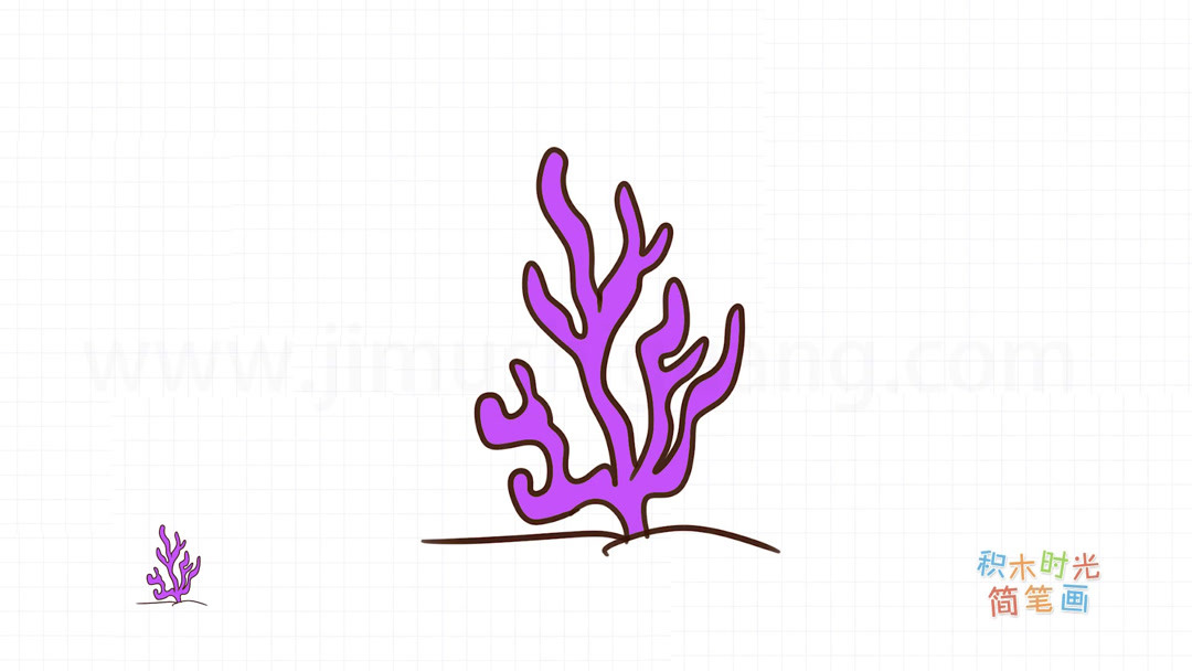 动物简笔画大全,画简单的紫色珊瑚简笔画