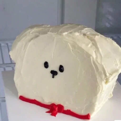 摘星星的木老师 