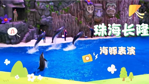 珠海长隆海洋王国水族馆海豚表演