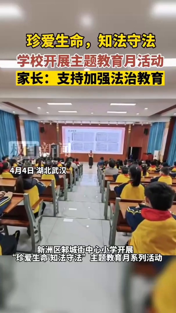 "珍爱生命,知法守法",武汉市新洲区这所学校开展主题教育