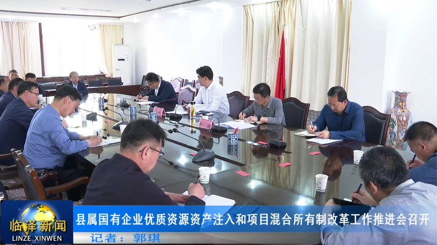 县属国有企业优质资源资产注入项目混合所有制改革工作推进会召开