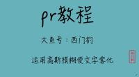 pr教程新手零基础Premiere视频教程运用高斯模糊使文字雾化