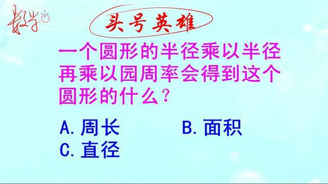 头号英雄题目:半径乘以半径,再乘以圆周率,会得到圆的什么呢