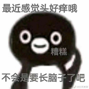 不午睡会噶 