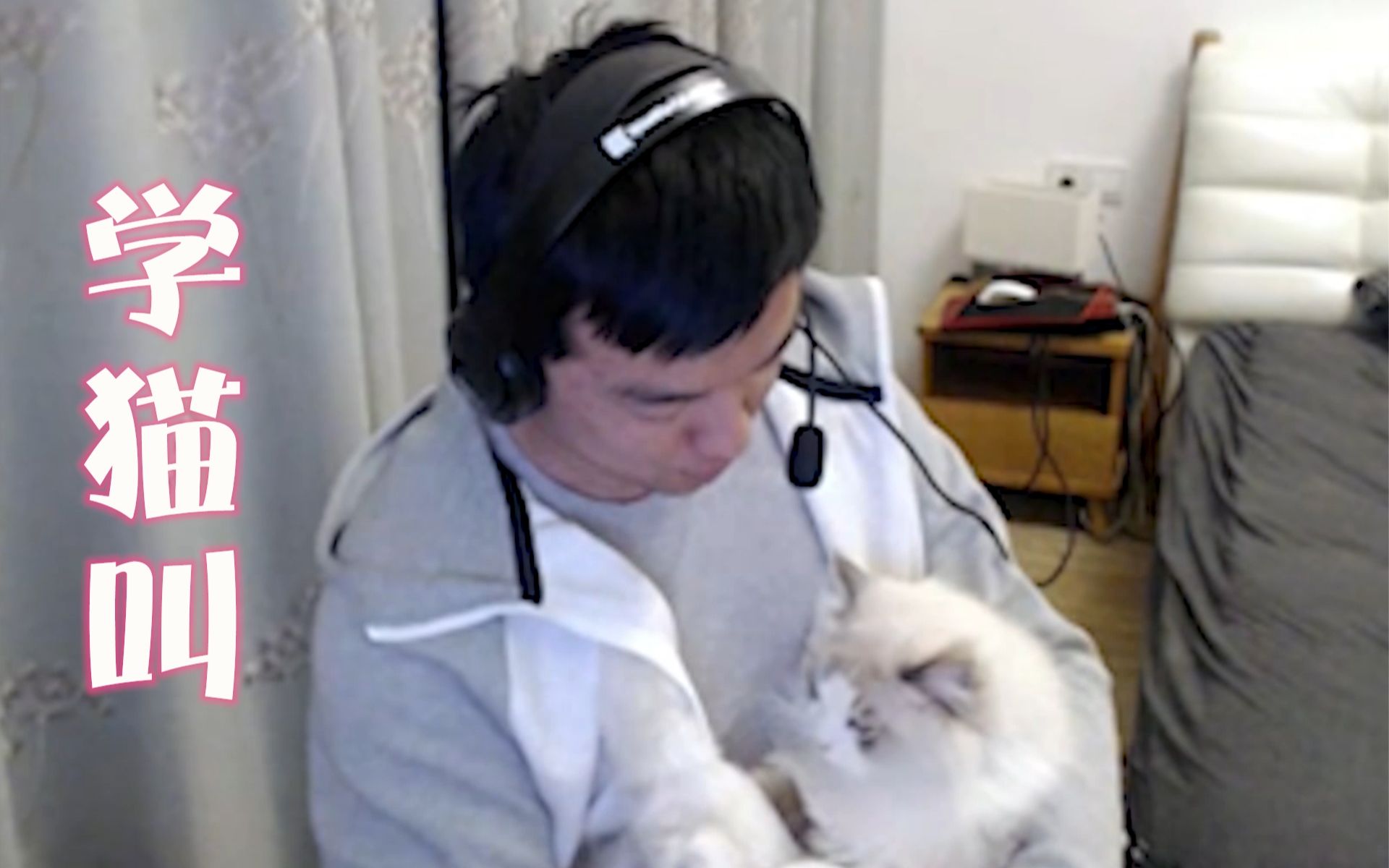 【不是咕咕鸡】 第八期 学猫叫