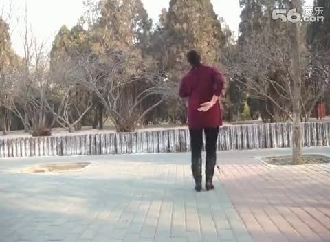 藏舞《洗衣歌(单人背面)》(兰州广场舞教学视频)