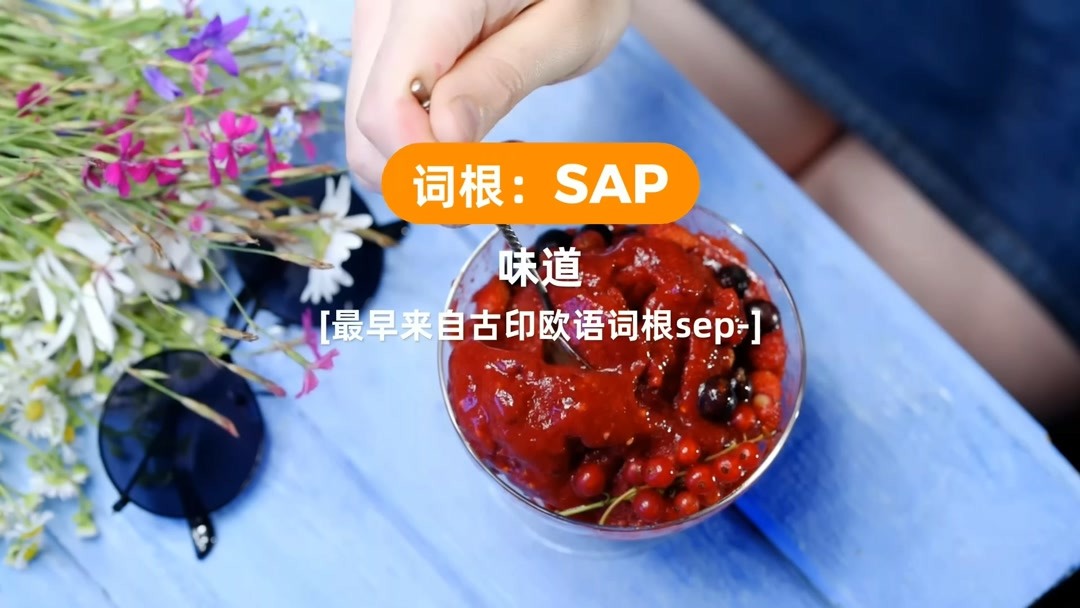 词根SAP构成的4个单词:3分钟视觉化串讲,牢记并灵活使用!